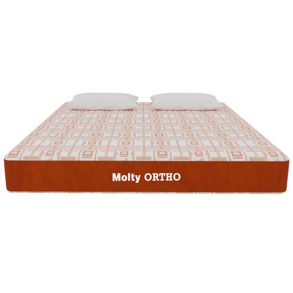 Molty Plus SERIES | Meg Medius