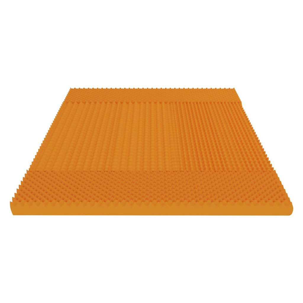 Molty Ortho Back Care Cushion | Meg Medius