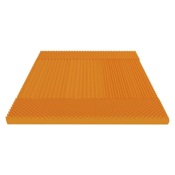 Molty Ortho Back Care Cushion | Meg Medius