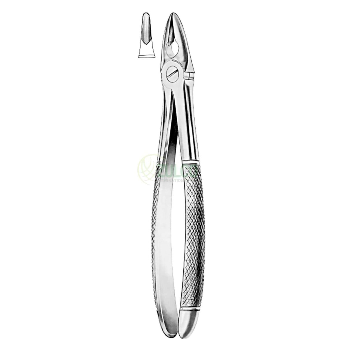 tuning fork | Meg Medius
